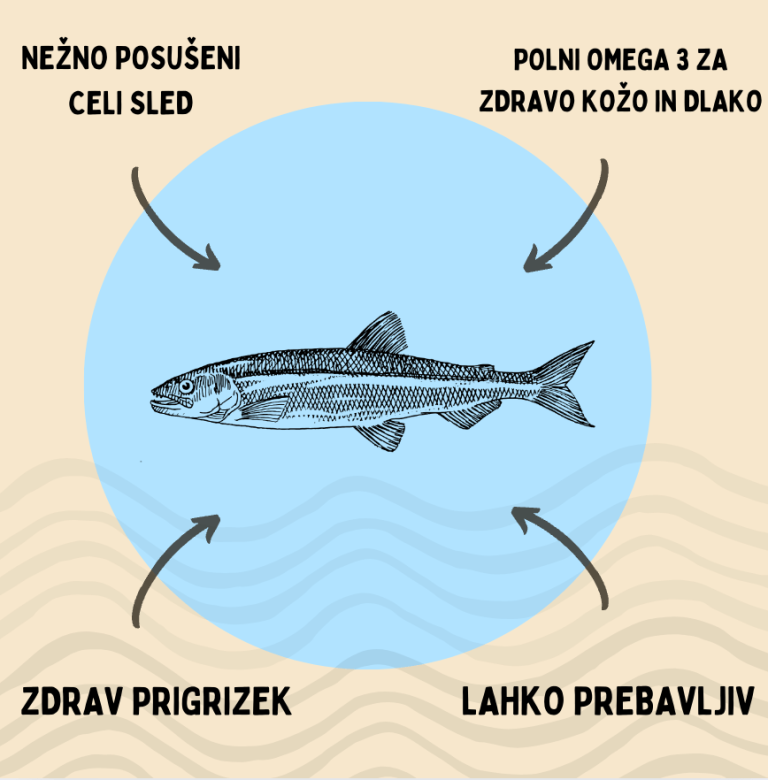 Baro posušene ribice - sled, 100 g - PasjaTeta.si